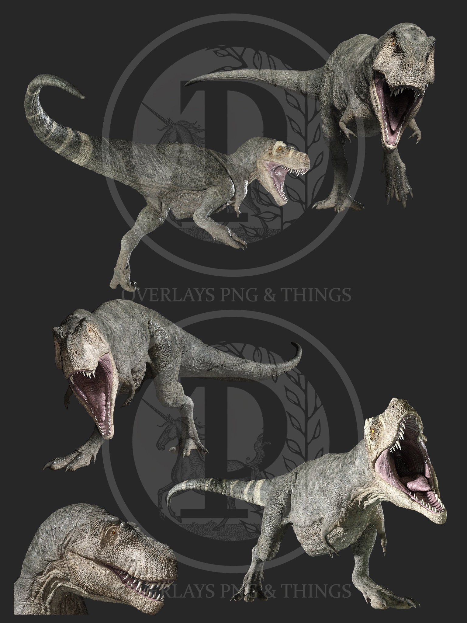 T-rex Digital Overlays,tyrannosaurus Clipart,png Overlays,dinosaur ...