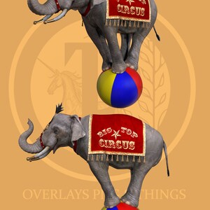 Circus Elephant Overlays / Digital Clipart / Animal Art / Big Top Props ...