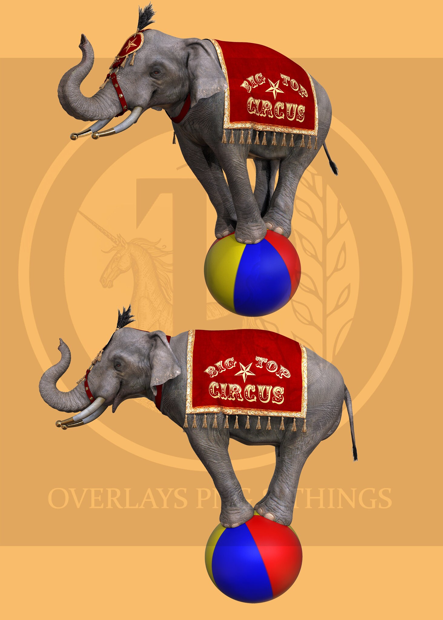 Circus Elephant Overlays / Digital Clipart / Animal Art / Big - Etsy