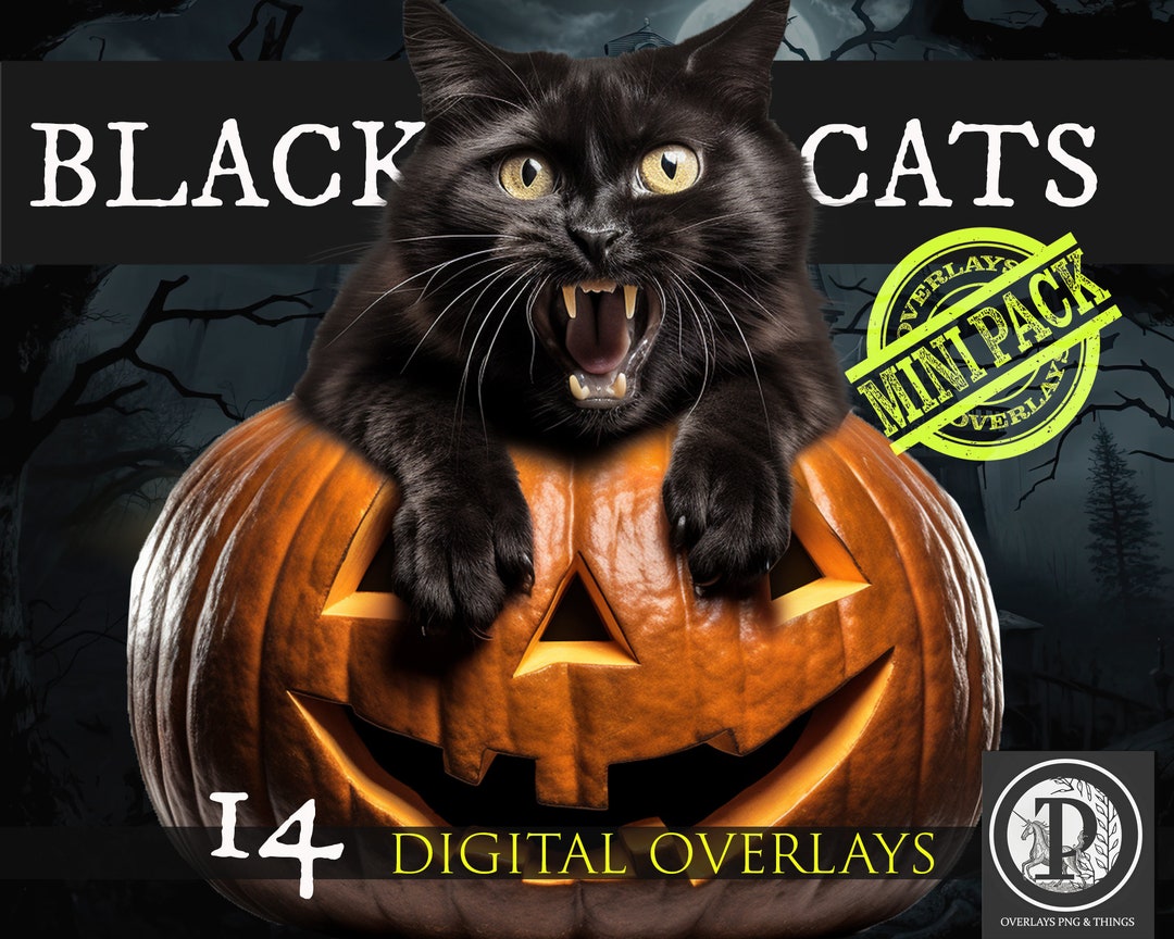 Black Cat Overlays Collection / Cat Png / Halloween Clipart / Witch ...