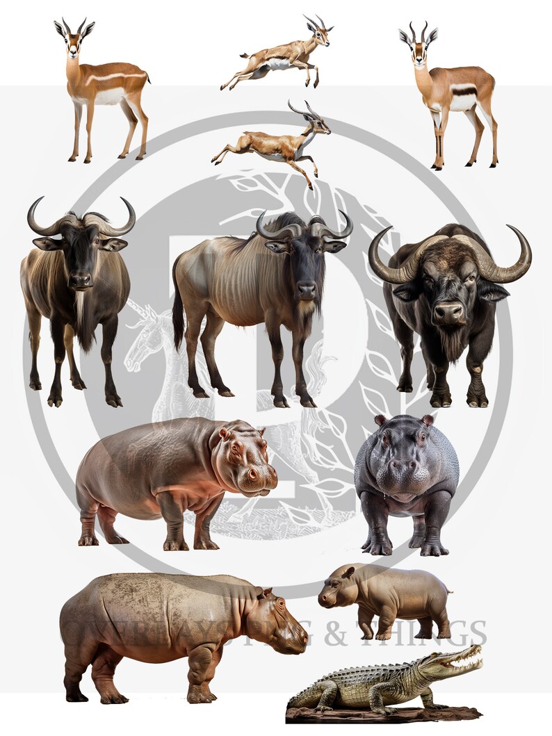 Safari Digital Overlays, Lion Clipart,elephant PNG Overlays,animal ...