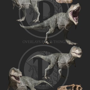 T-Rex digitale Overlays, Tyrannosaurus Clipart, PNG Overlays ...