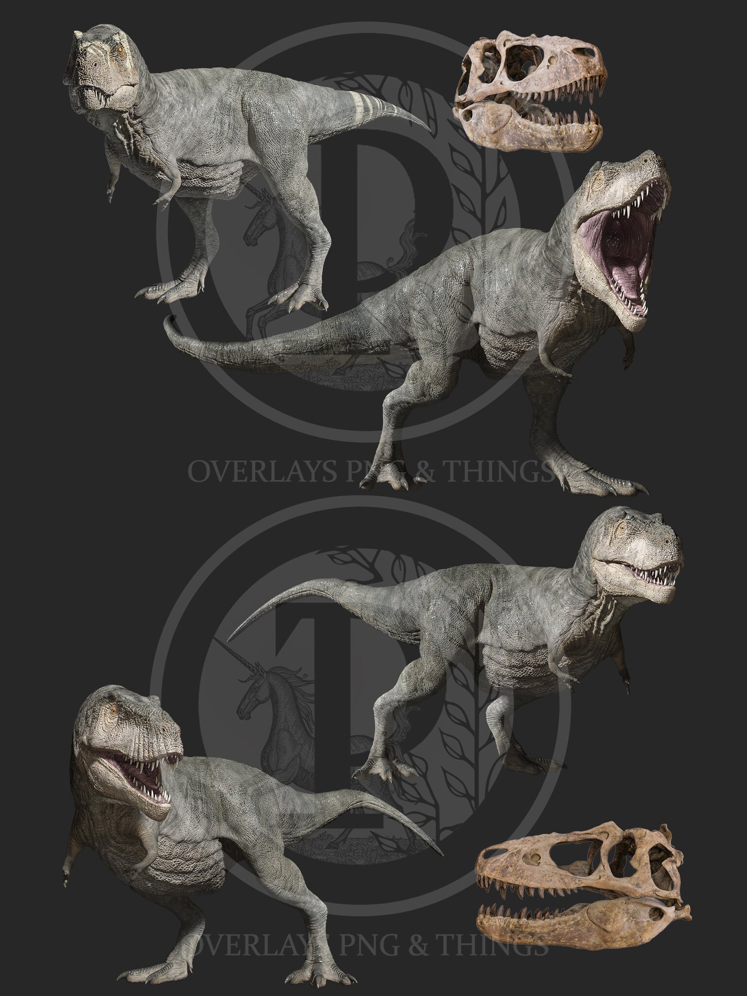 T-rex Digital Overlays,tyrannosaurus Clipart,png Overlays,dinosaur ...