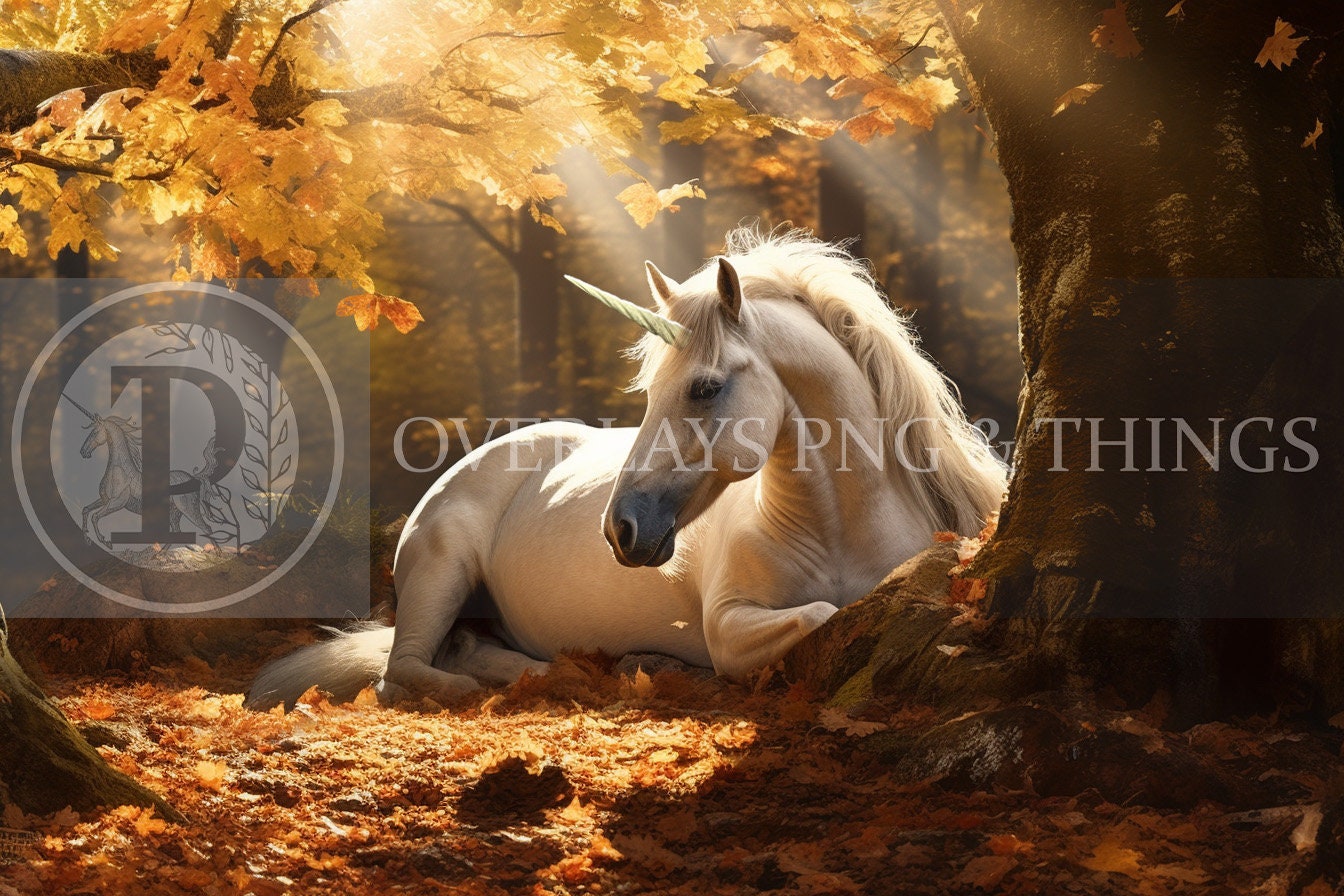 Unicorn Autumn Dream Digital Backdrop / Unicorn Digital Background ...