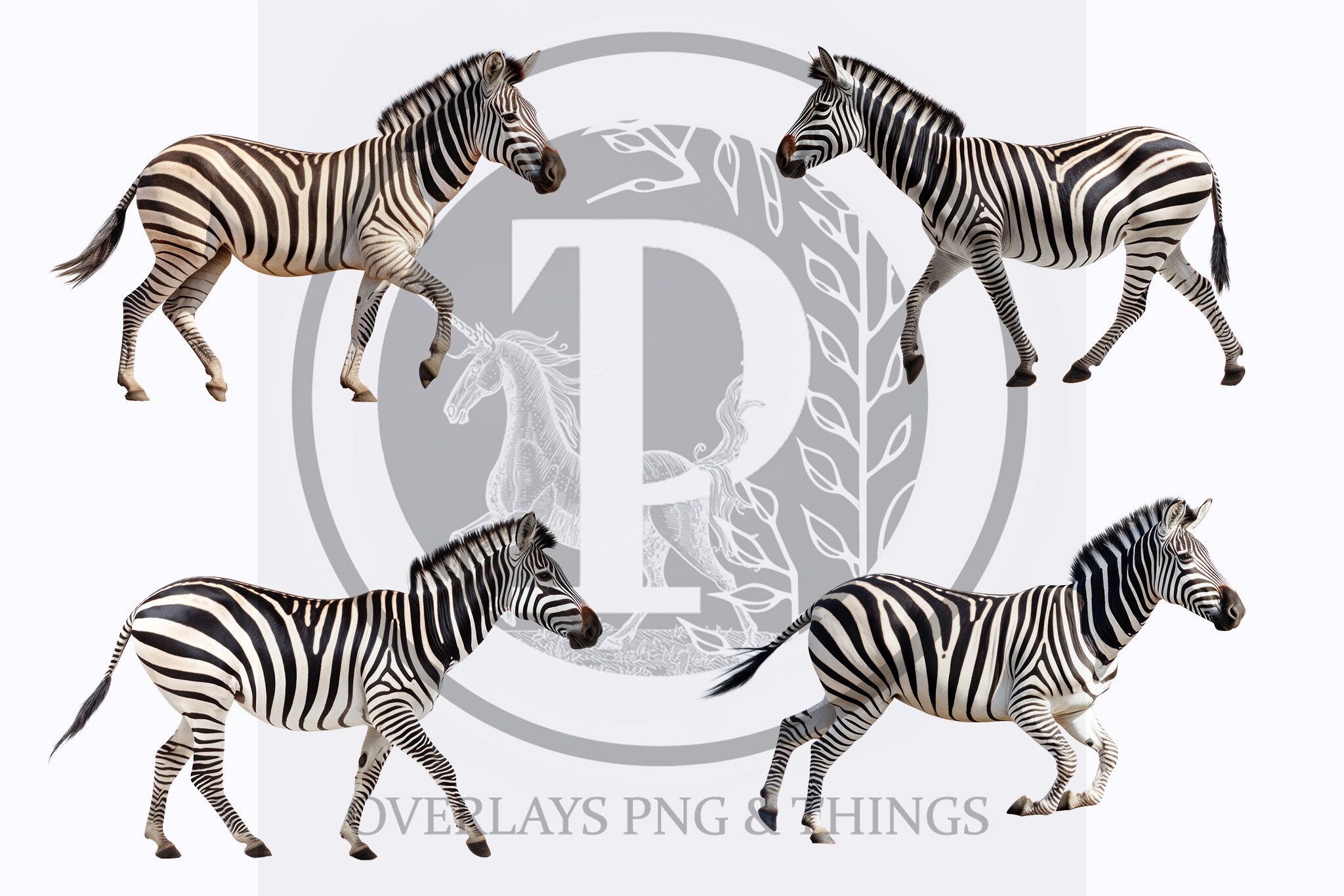 Zebra Digital Overlays, PNG Overlays, Animal Clipart,zebra Overlays ...