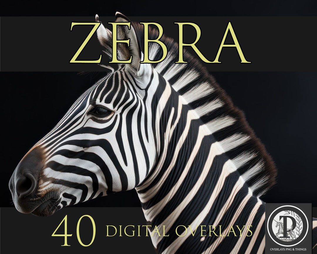 Zebra Digital Overlays, PNG Overlays, Animal Clipart,zebra Overlays ...