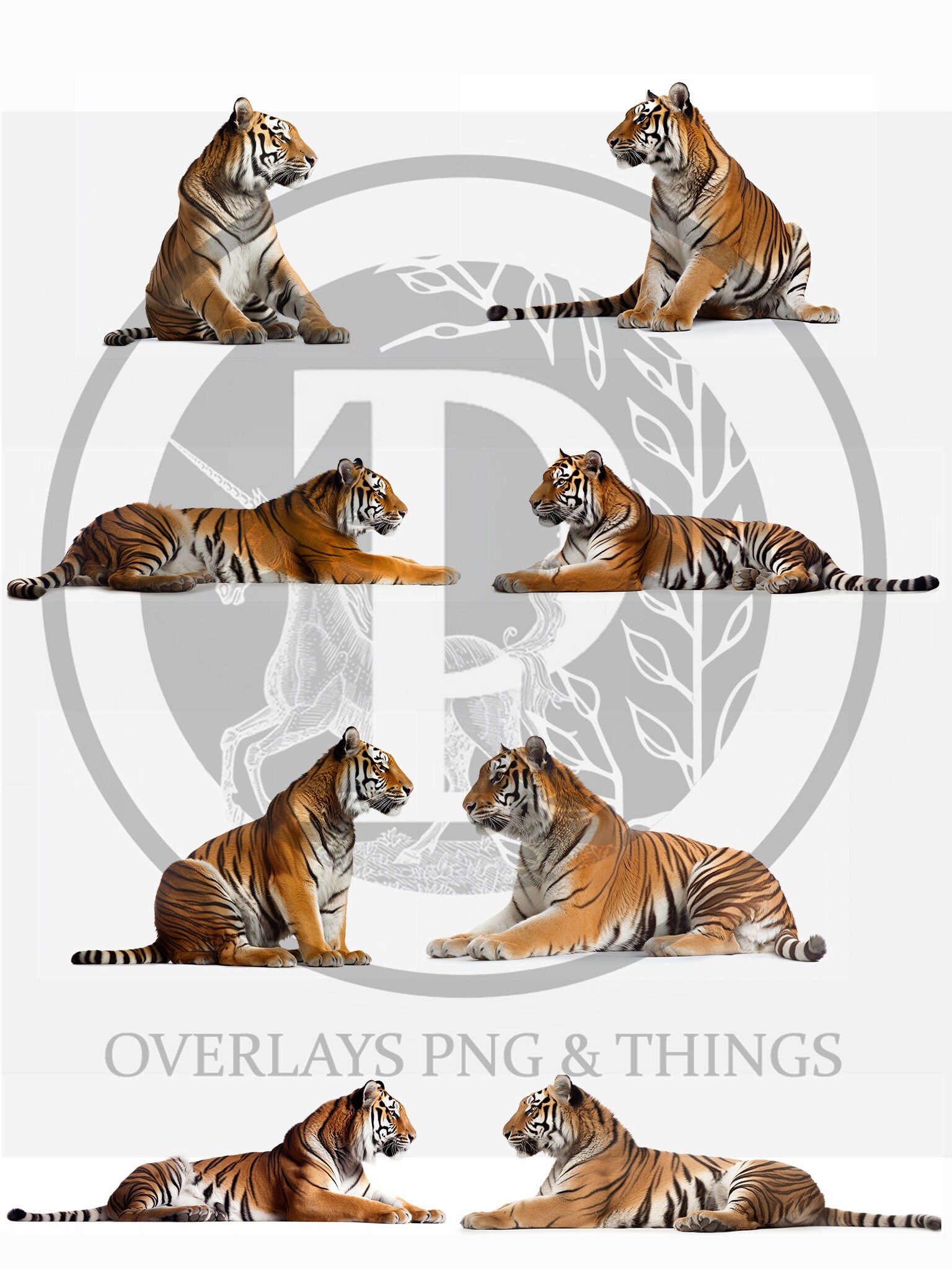 Tiger Digital Overlays,tiger Clipart,png Overlays,animal Overlays ...