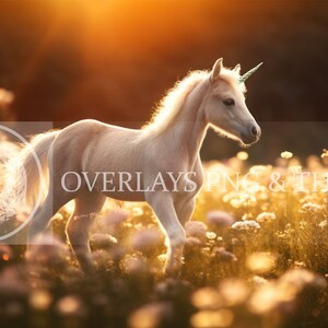 Sunbeam Baby Unicorn Digital Backdrop / Unicorn Digital Background ...