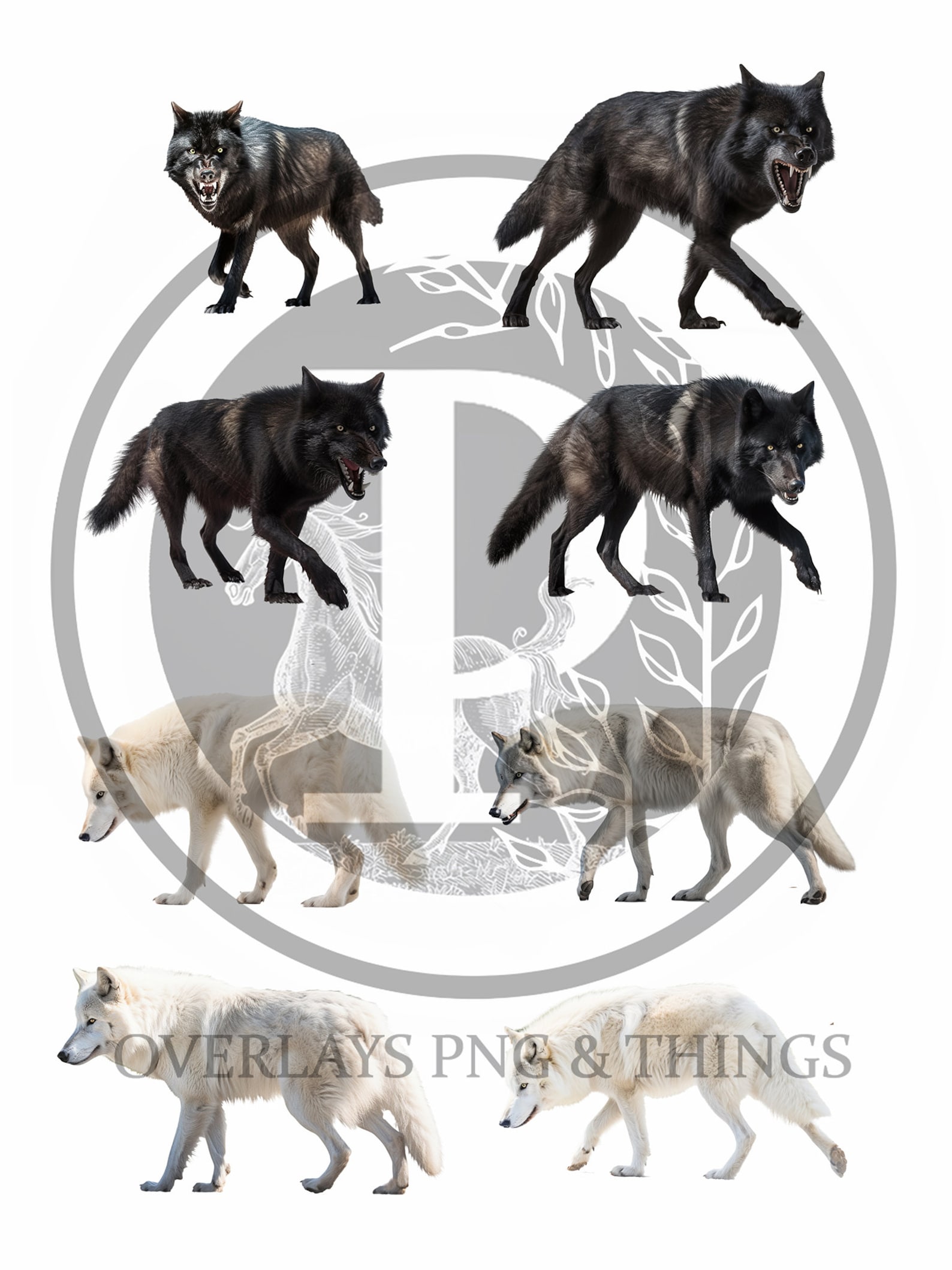 Black Wolf Digital Overlayswhite Wolf PNG Overlays Animal - Etsy