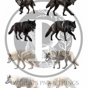 Black Wolf Digital Overlays,white Wolf PNG Overlays, Animal Clipart ...