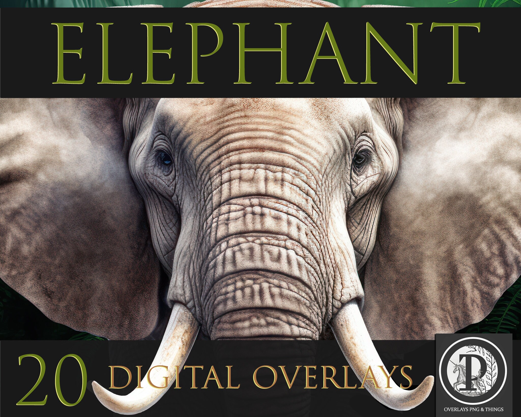 Elephant Digital Overlays, PNG Overlays, Animal Clipart, Animal ...
