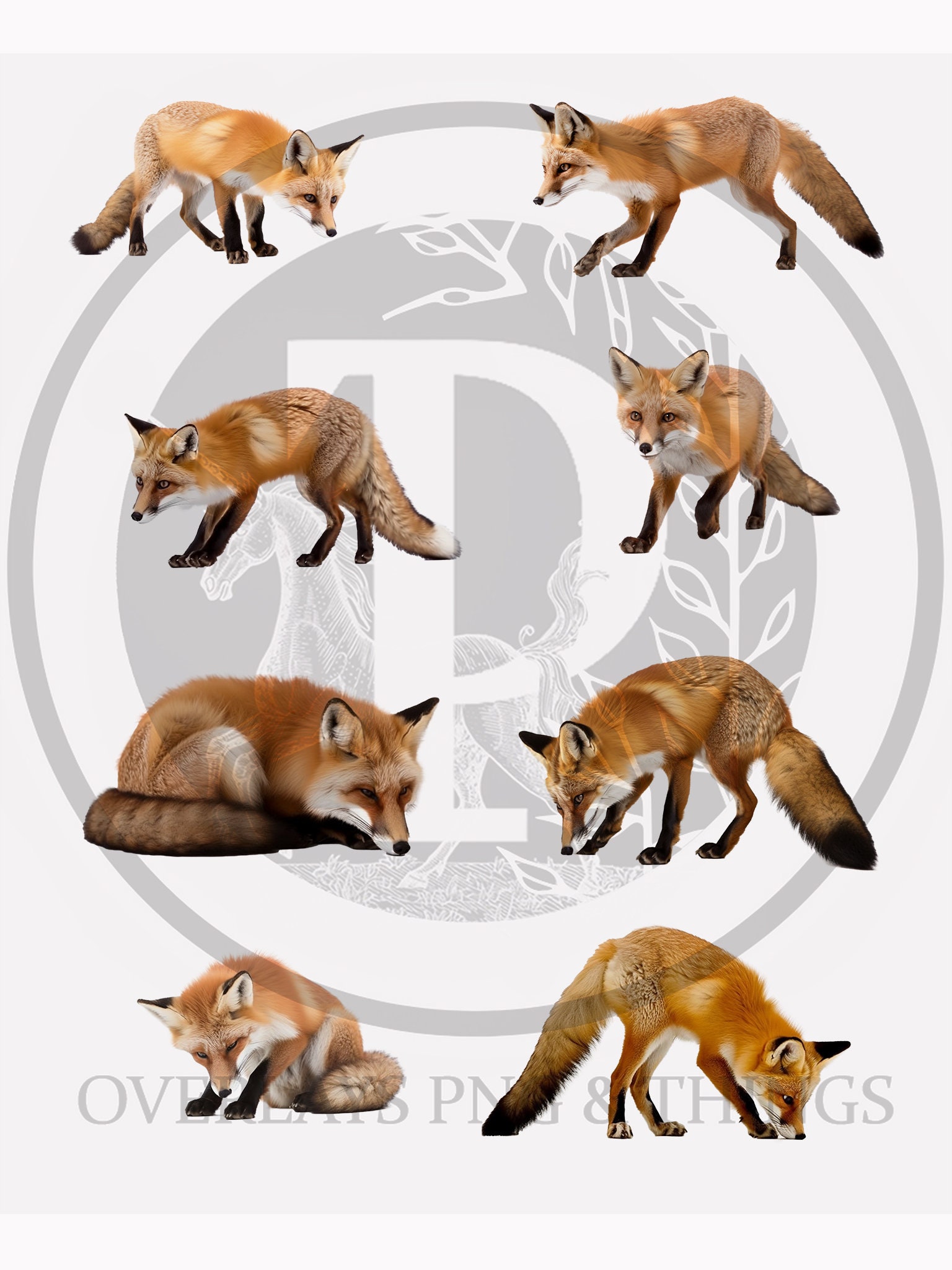 Fox Digital Overlays PNG Overlays Animal Clipart Animal - Etsy Ireland