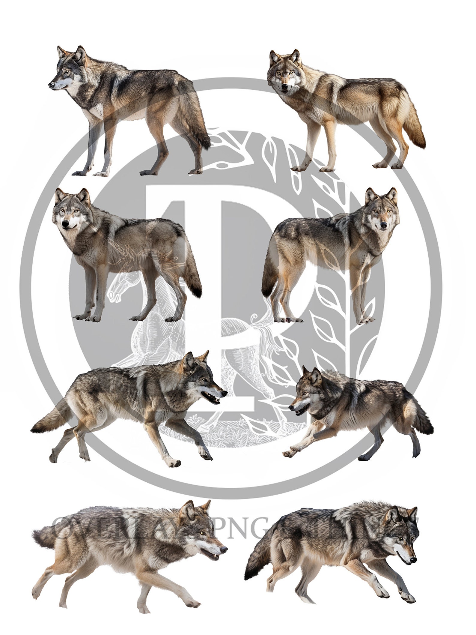 Wolves Digital Overlays, PNG Overlays, Animal Clipart, Animal Overlays ...
