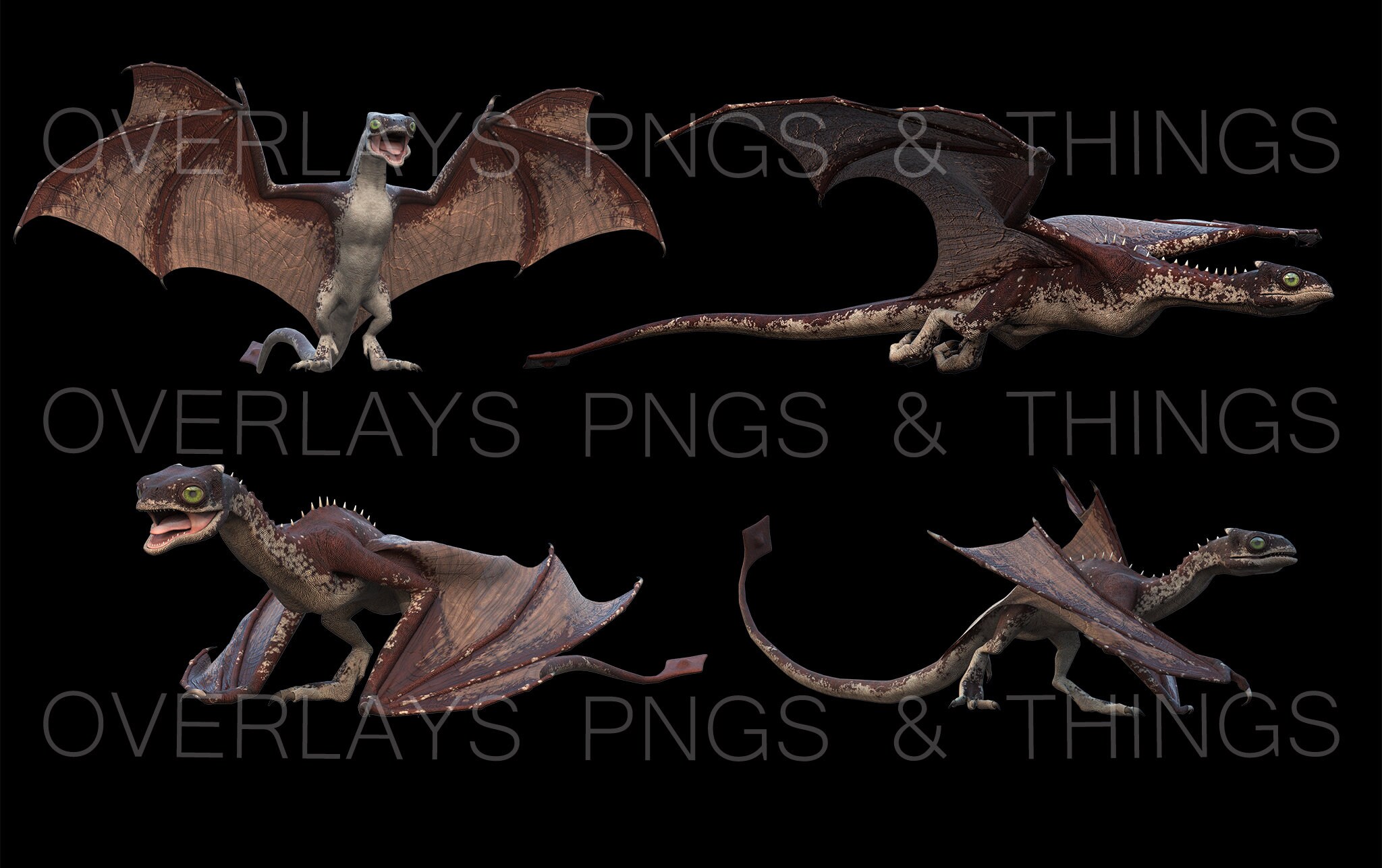 Baby Dragon Overlays PNG Photoshop Overlays Dragon Digital Art Digital ...