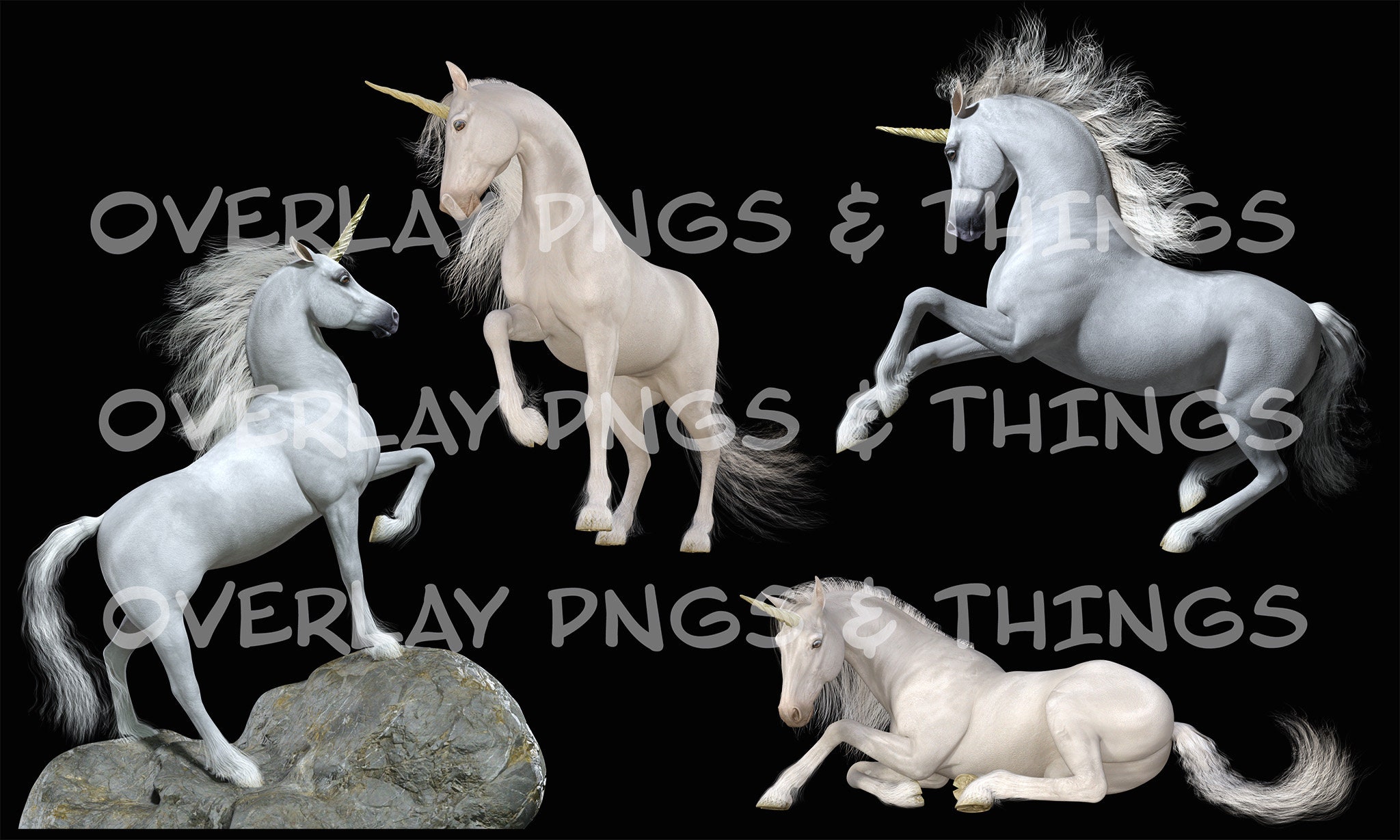 Unicorn Overlays PNG Photoshop Overlays Unicorn Digital Art Digital ...