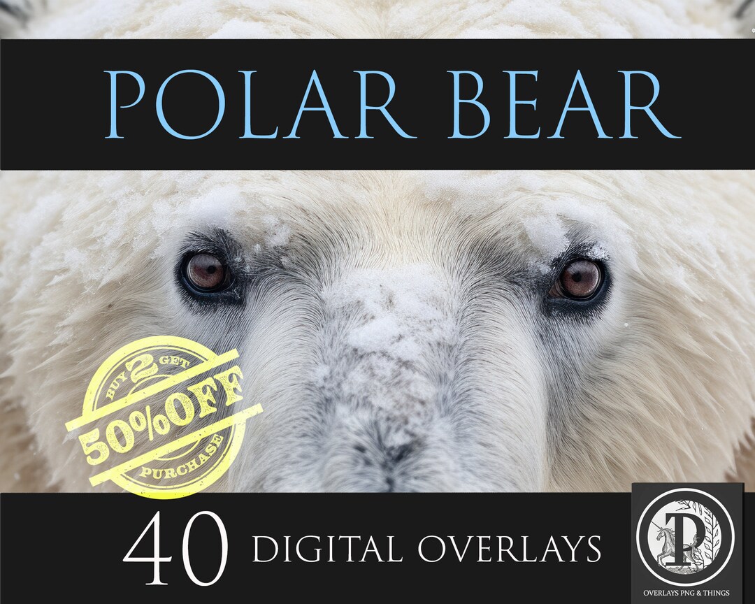 Polar Bear Digital Overlays, PNG Overlays, Animal Clipart, Animal ...
