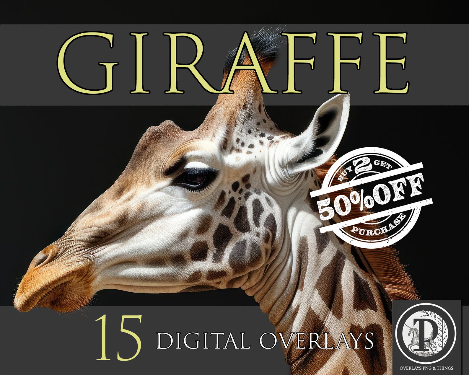 Giraffe Digital Overlays, PNG Overlays, Animal Clipart, Animal Overlays ...
