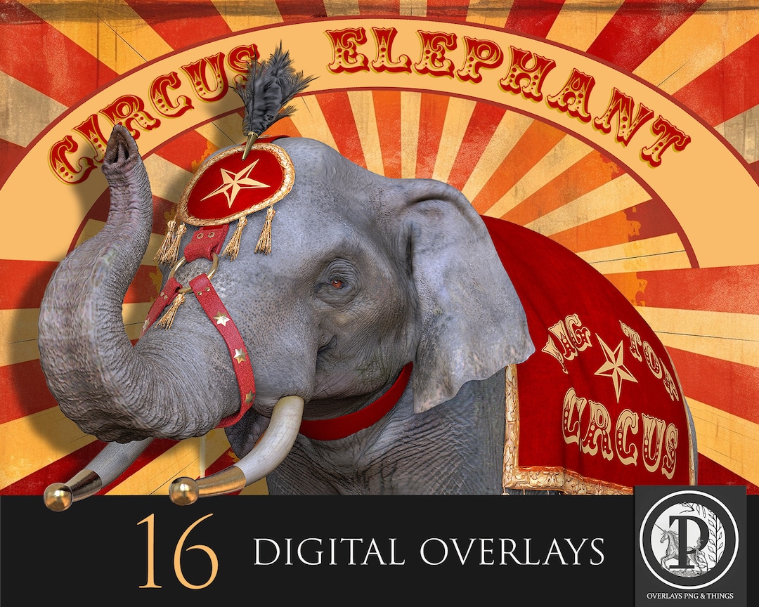 Circus Elephant Overlays / Digital Clipart / Animal Art / Big Top Props / for Photoshop /digital ...