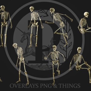 Skeleton Overlays Collection / Bone Png / Halloween Clipart / Monster ...