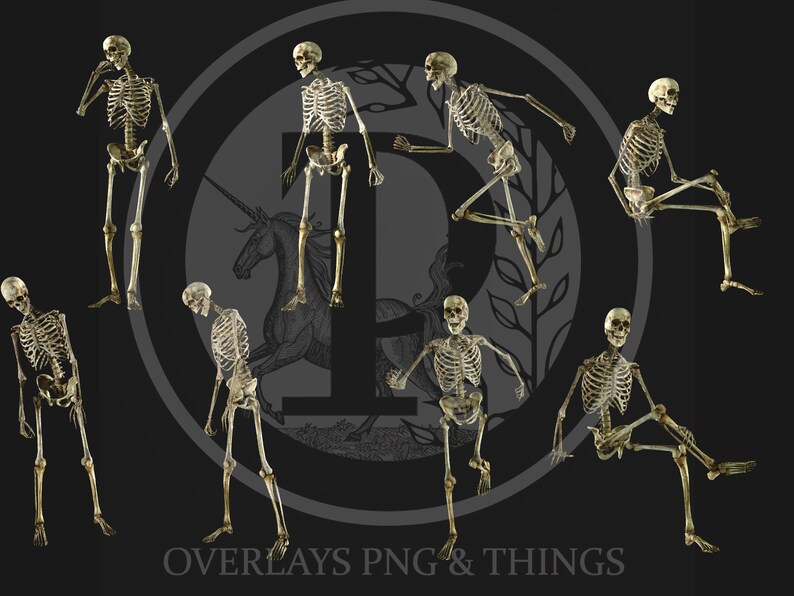 Skeleton Overlays Collection / Bone Png / Halloween Clipart / Monster ...
