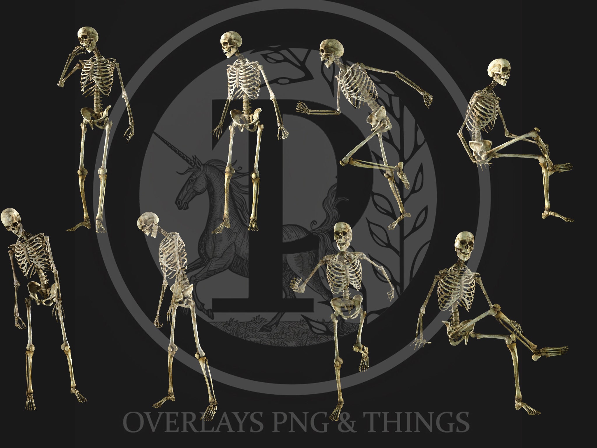 Skeleton Overlays Collection / Bone Png / Halloween Clipart / Monster ...