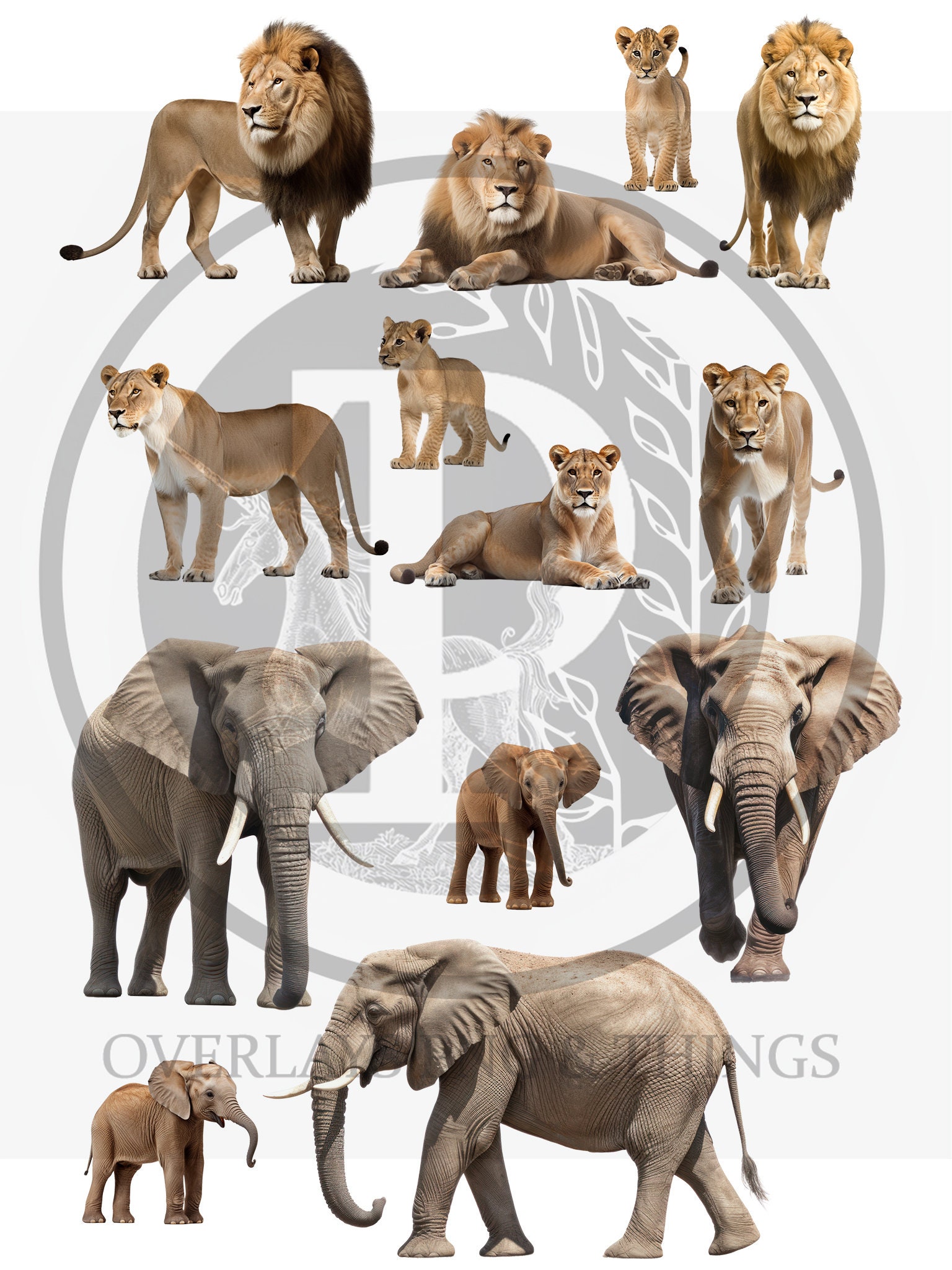 Safari Digital Overlays, Lion Clipart,elephant PNG Overlays,animal ...