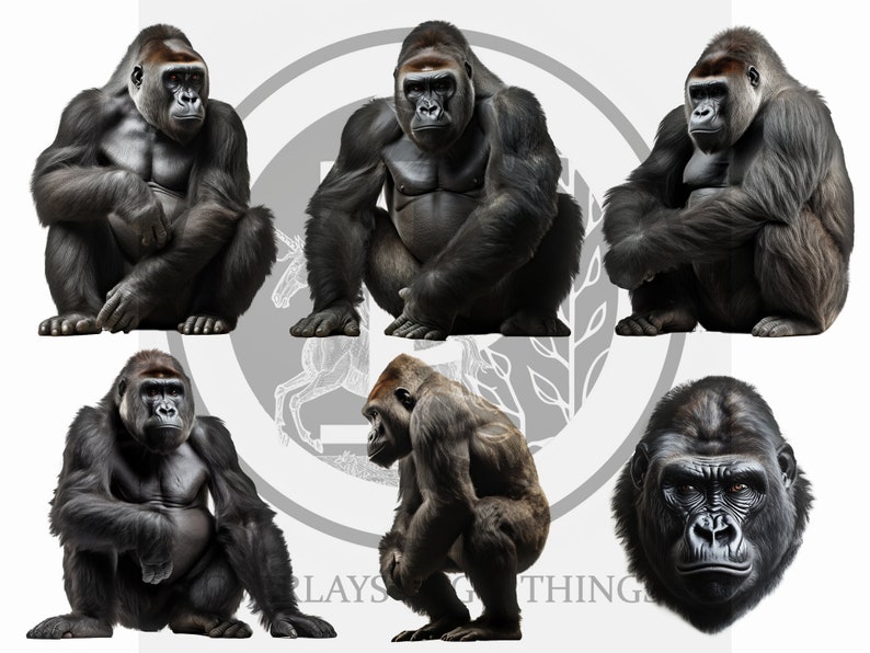 Ape Digital Overlays PNG Overlays Animal Clipart Monkey - Etsy