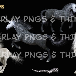 Unicorn Overlays | PNG | Photoshop Overlays | Unicorn Digital Art ...