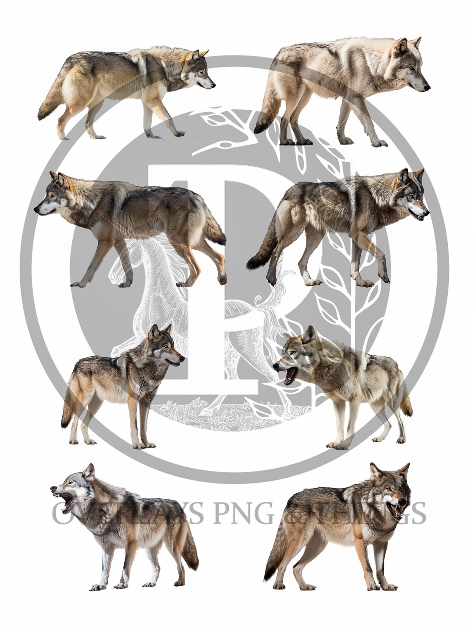 Wolves Digital Overlays, PNG Overlays, Animal Clipart, Animal Overlays, Photoshop Overlays, - Etsy