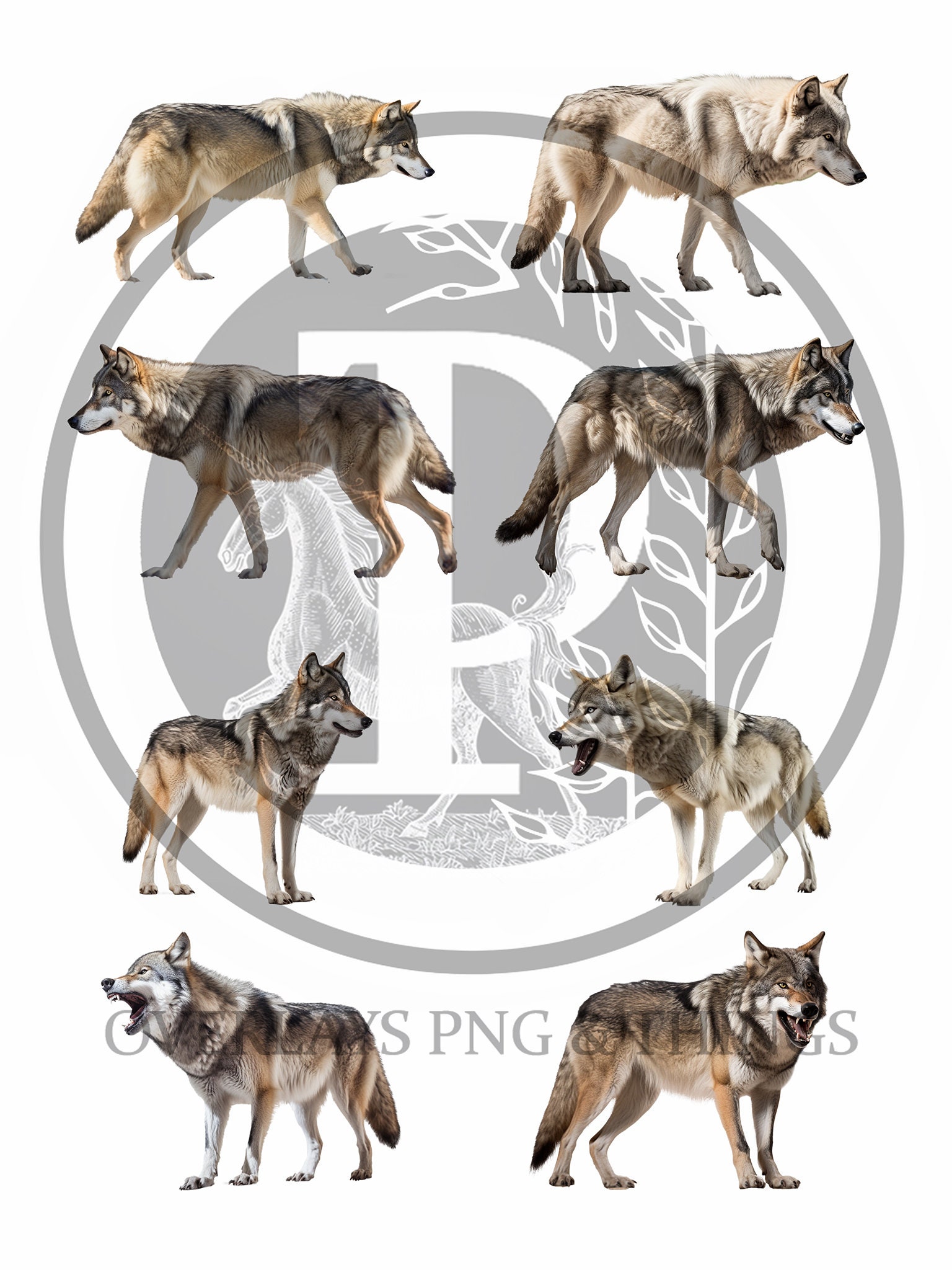 Wolves Digital Overlays PNG Overlays Animal Clipart Animal - Etsy Canada