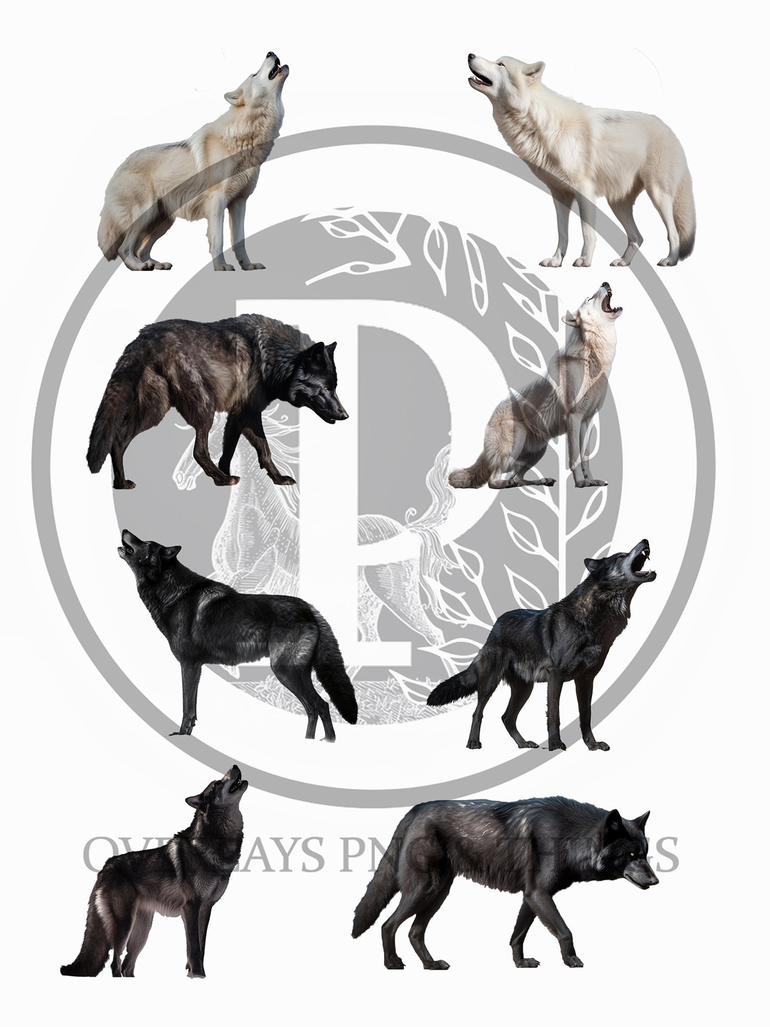 Black Wolf Digital Overlayswhite Wolf PNG Overlays Animal - Etsy