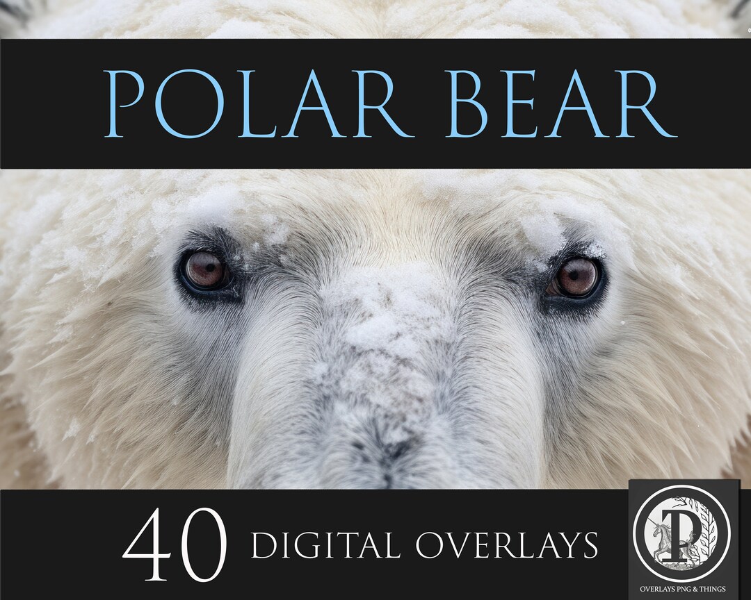 Polar Bear Digital Overlays, PNG Overlays, Animal Clipart, Animal ...