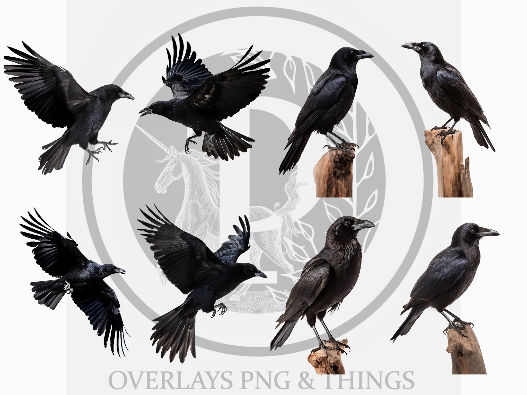 Raven Digital Overlaysraven PNG Overlays Animal Clipart - Etsy UK