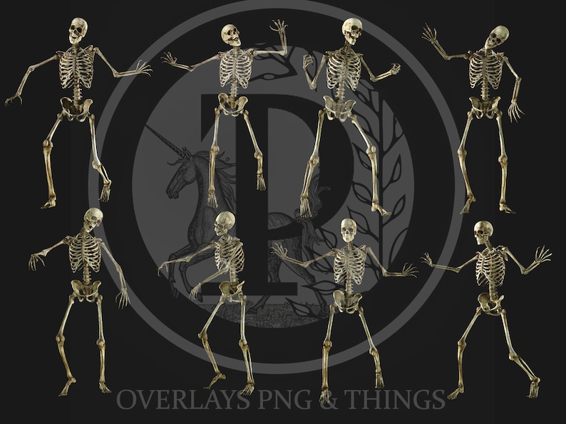 Skeleton Overlays Collection / Bone Png / Halloween Clipart / - Etsy