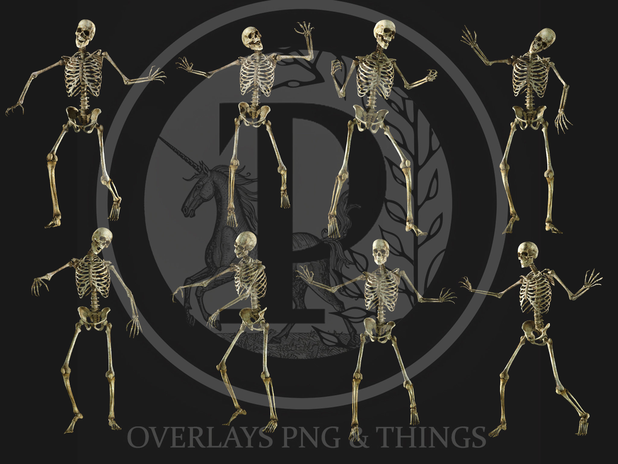 Skeleton Overlays Collection / Bone Png / Halloween Clipart / Monster ...