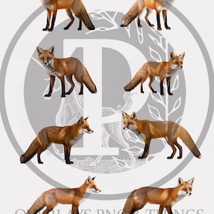 Fox Digital Overlays, PNG Overlays, Animal Clipart, Animal Overlays ...