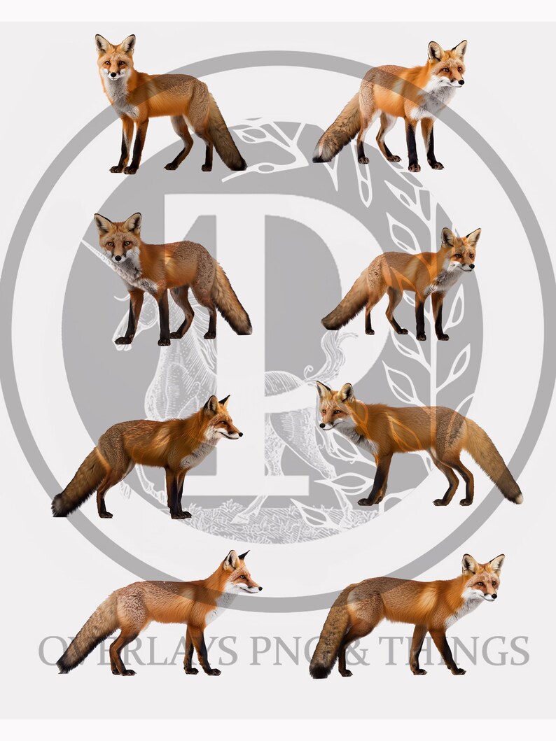 Fox Digital Overlays, PNG Overlays, Animal Clipart, Animal Overlays ...