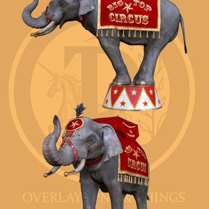 Circus Elephant Overlays / Digital Clipart / Animal Art / Big Top Props ...
