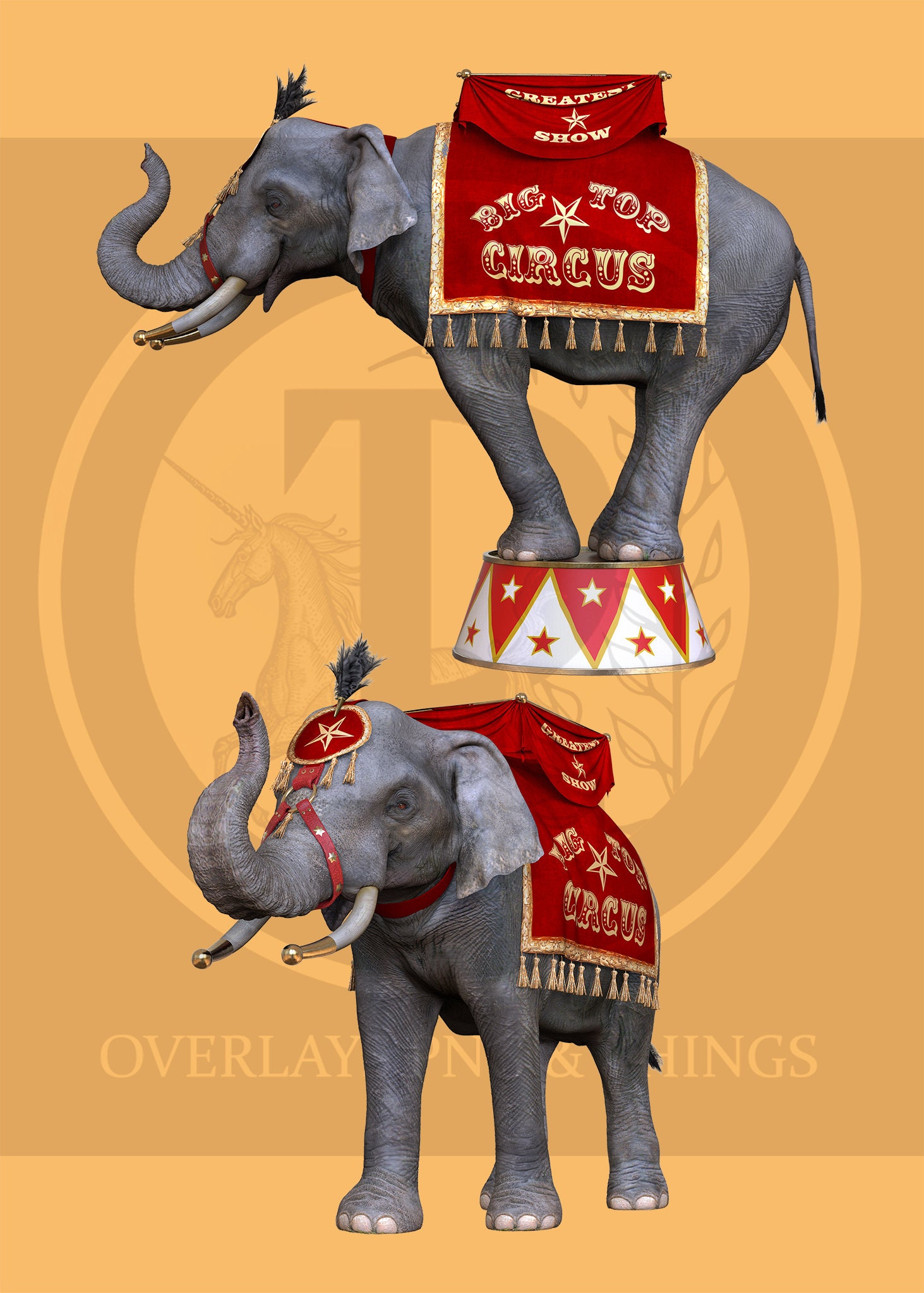 Circus Elephant Overlays / Digital Clipart / Animal Art / Big Top Props ...