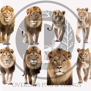 Lion Digital Overlays,lion Clipart,png Overlays,animal Overlays ...