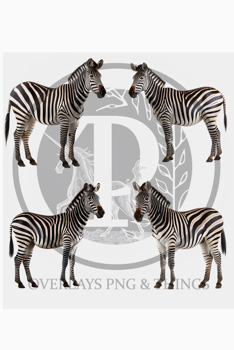 Zebra Digital Overlays, PNG Overlays, Animal Clipart,zebra Overlays ...