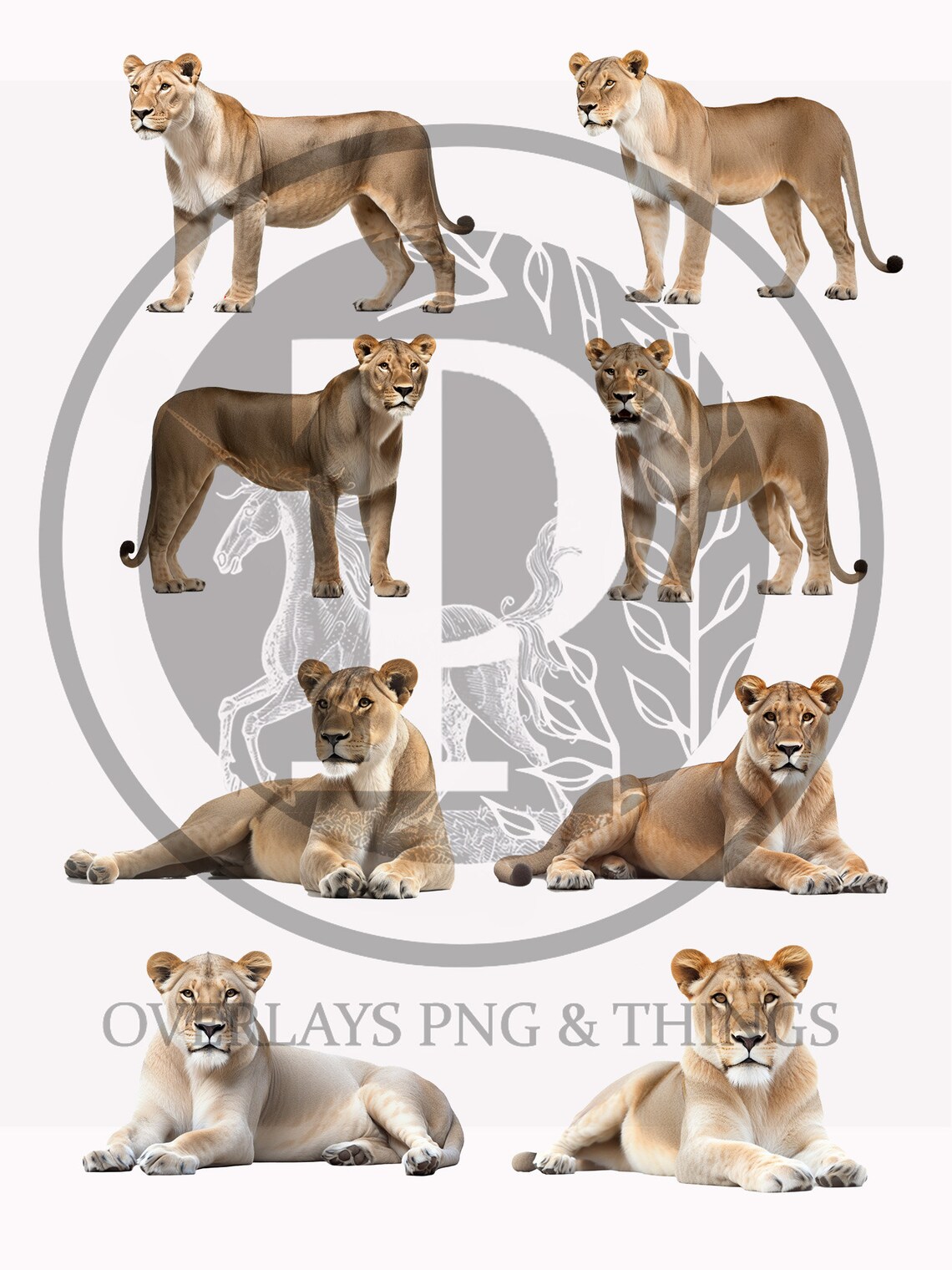 Lion Digital Overlays,lion Clipart,png Overlays,animal Overlays ...