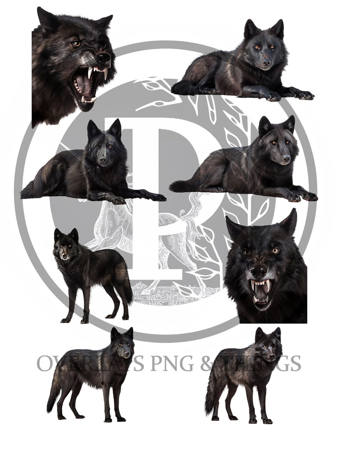 Black Wolf Digital Overlayswhite Wolf PNG Overlays Animal - Etsy
