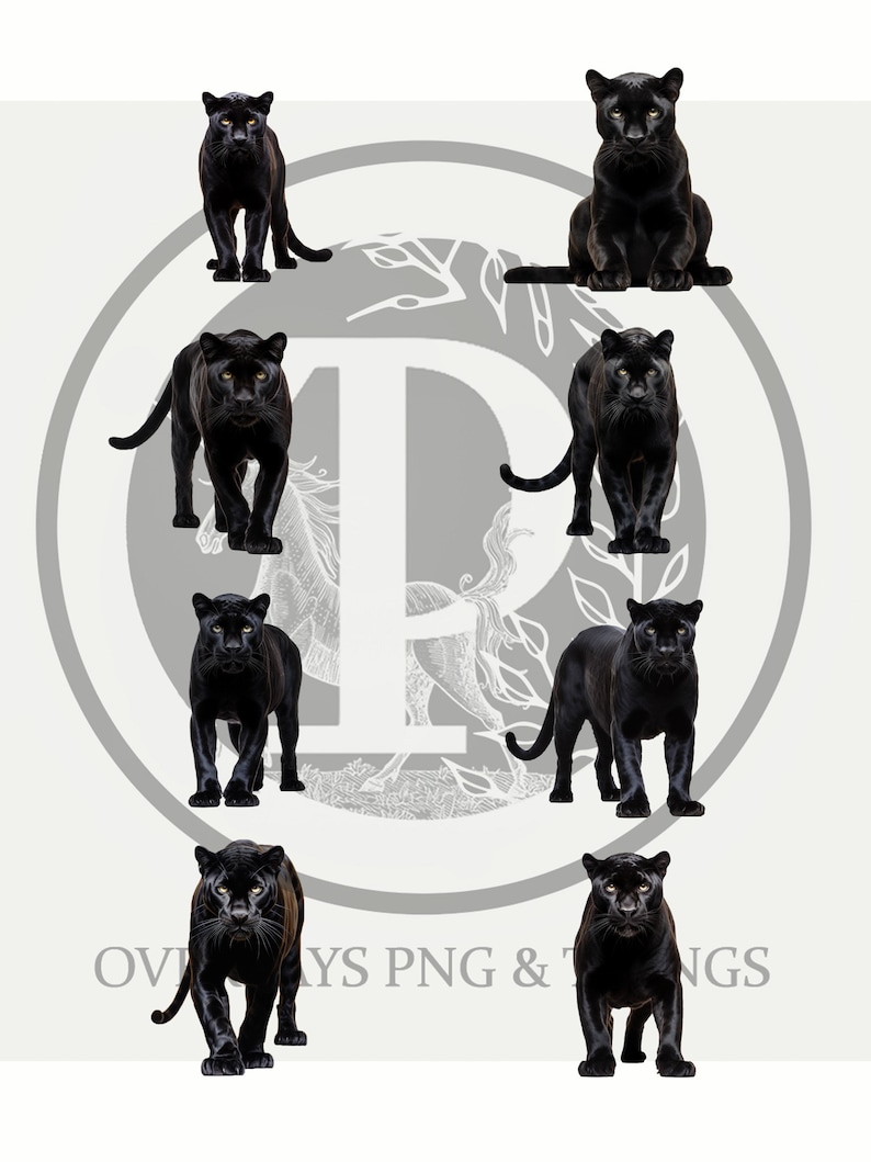 Black Panther Digital Overlays,panther Clipart,png Overlays,animal ...