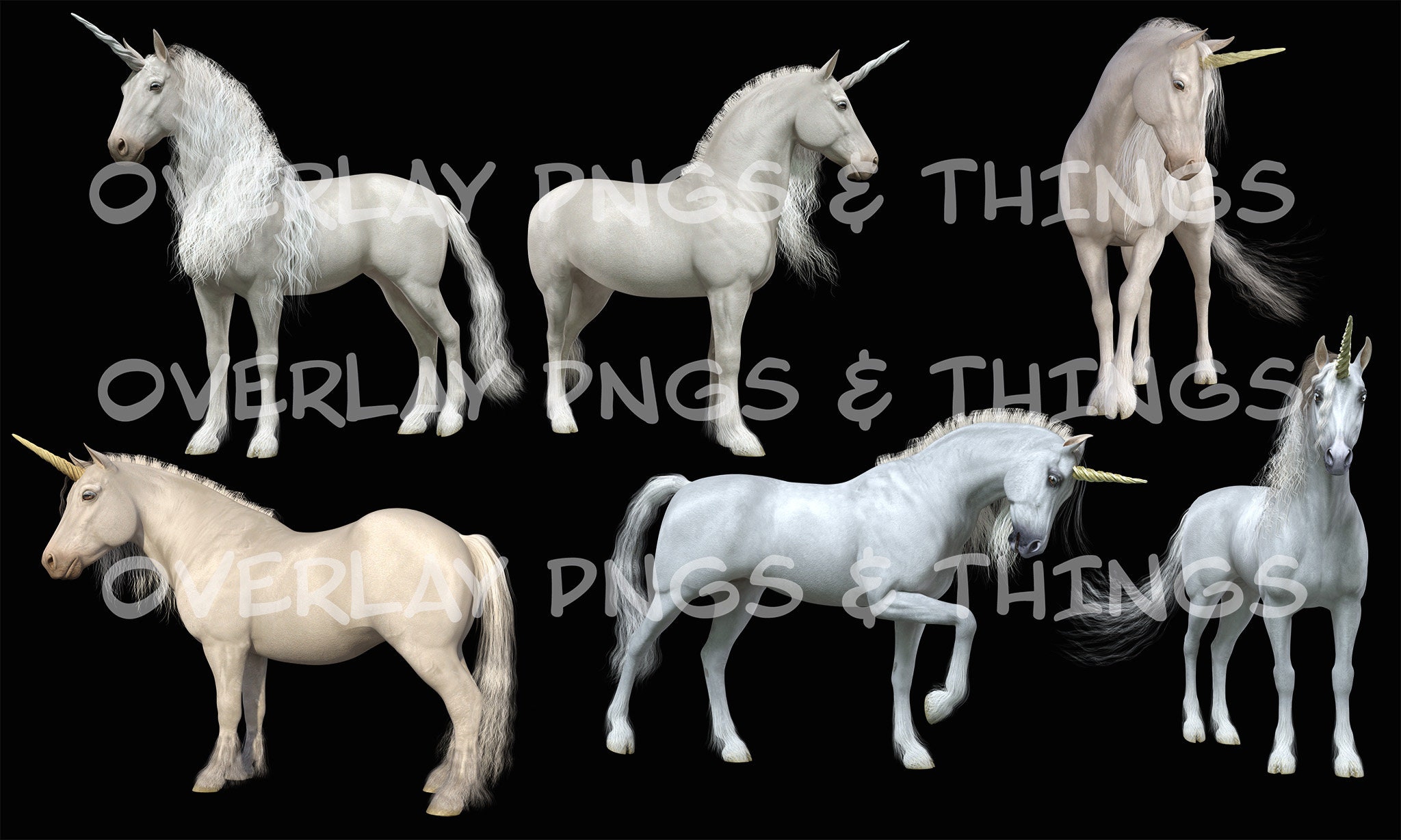 Unicorn Overlays PNG Photoshop Overlays Unicorn Digital Art Digital ...