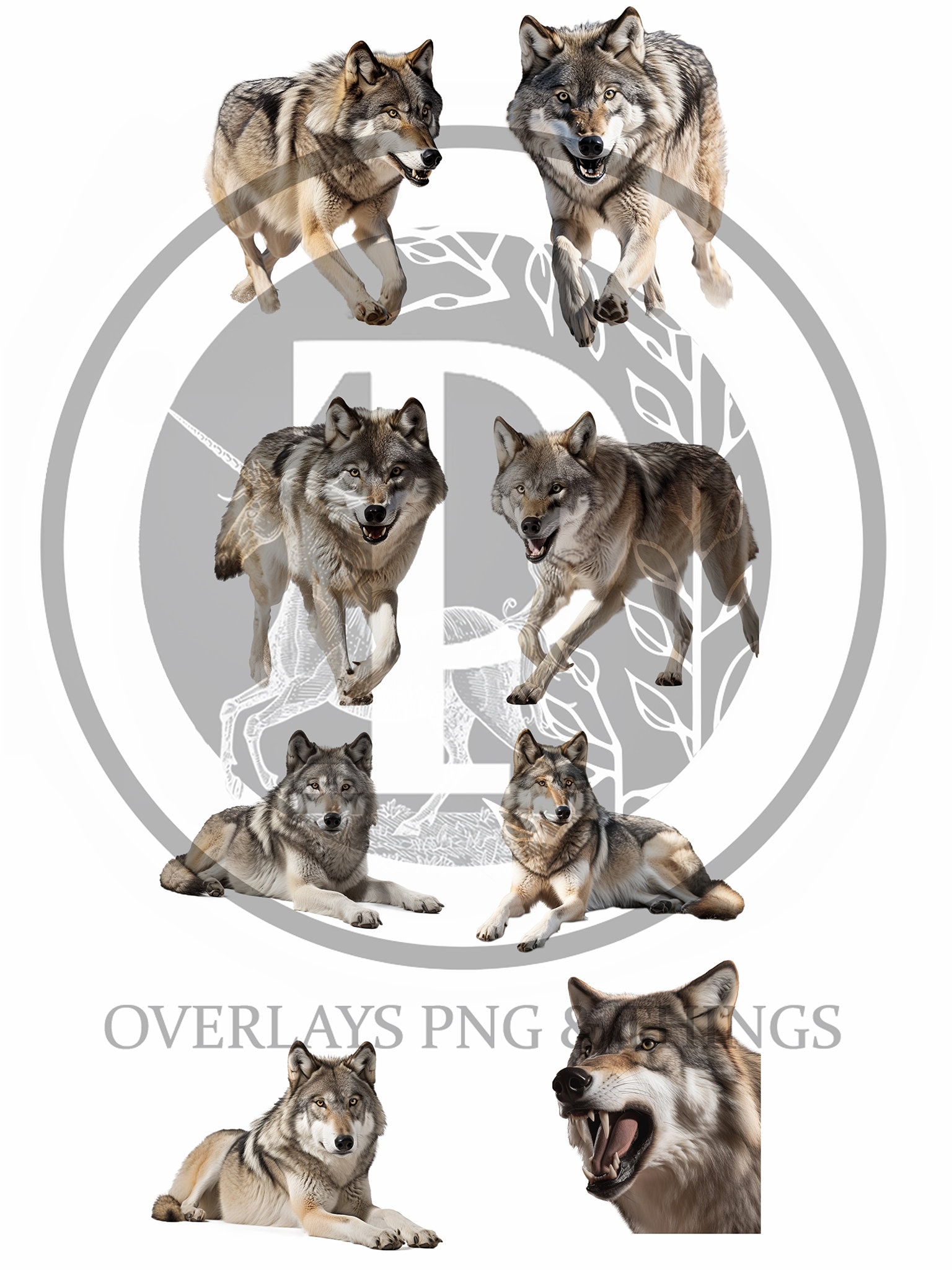 Wolves Digital Overlays PNG Overlays Animal Clipart Animal - Etsy Canada