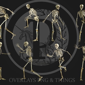 Skeleton Overlays Collection / Bone Png / Halloween Clipart / Monster ...