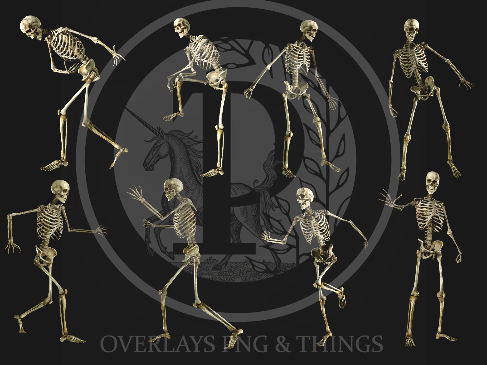 Skeleton Overlays Collection / Bone Png / Halloween Clipart / - Etsy