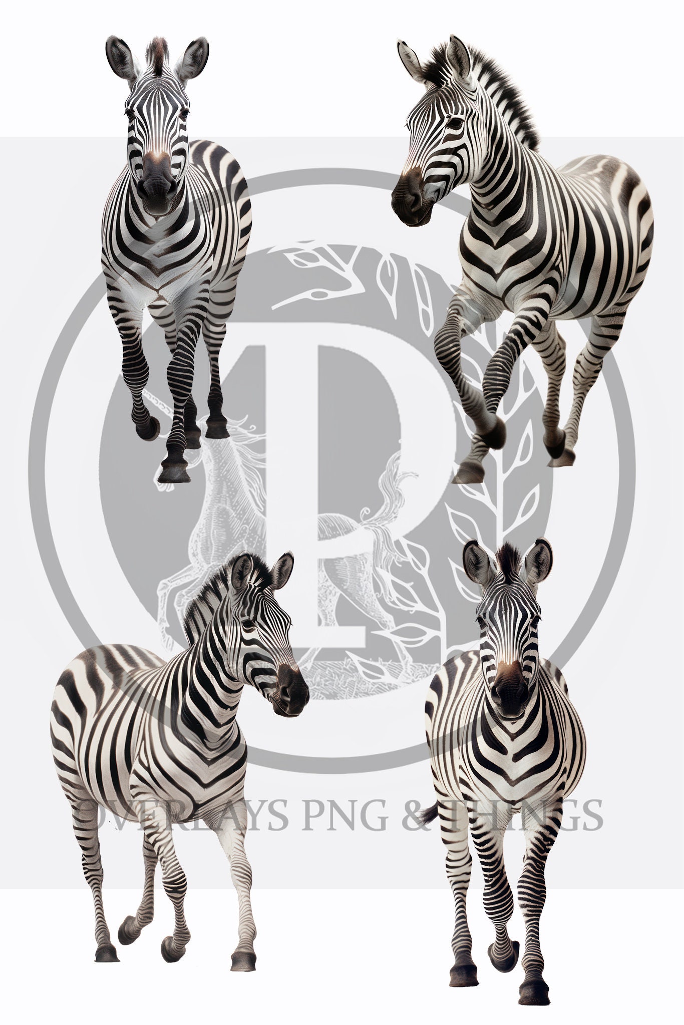 Zebra Digital Overlays, PNG Overlays, Animal Clipart,zebra Overlays ...