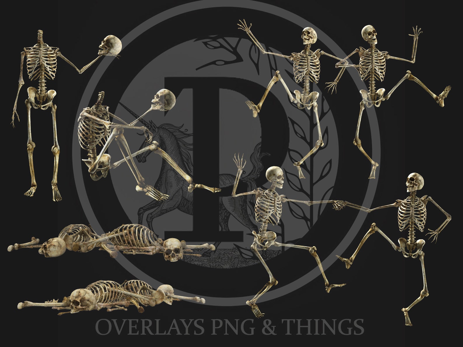 Skeleton Overlays Collection / Bone Png / Halloween Clipart / - Etsy